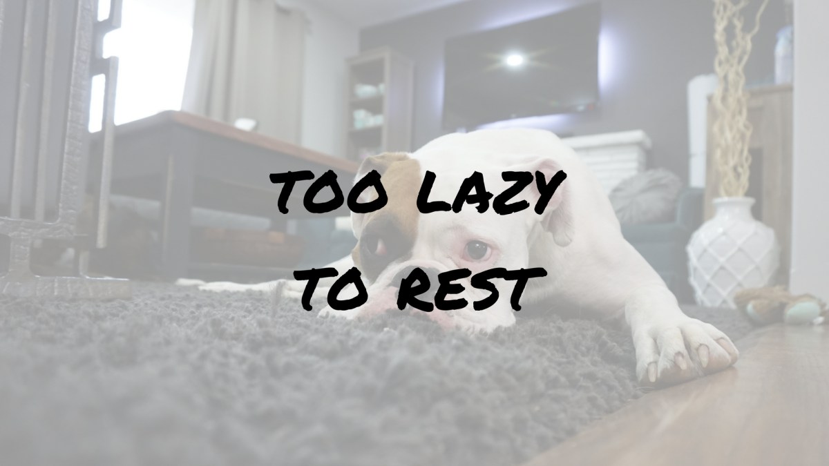 Busy Sloth – B. C. Newton