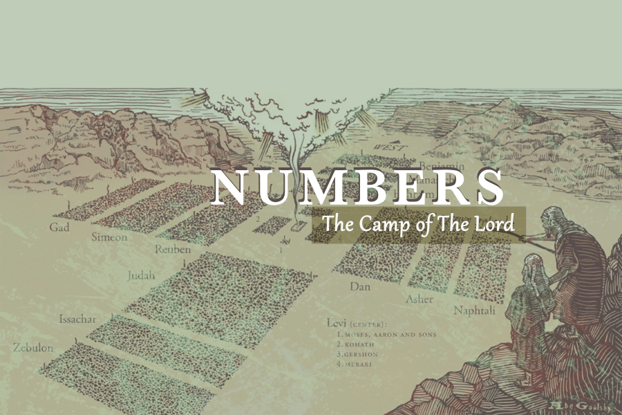 Background on Numbers – B. C. Newton